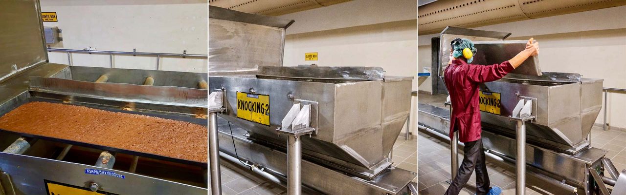 Malt Extract Powder Process - Barmalt