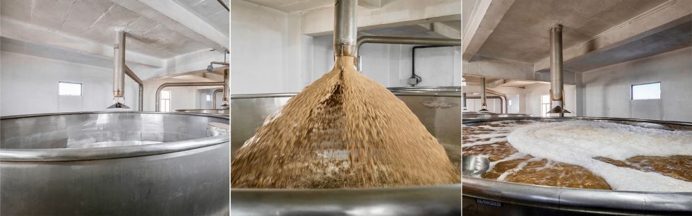 Malting Process - Barmalt