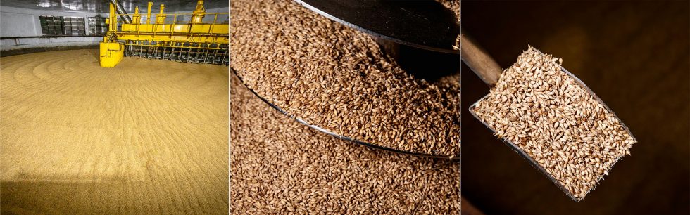 Malting Process - Barmalt