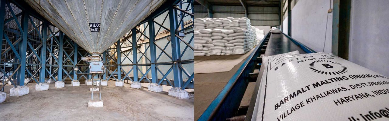 Malting Process - Barmalt