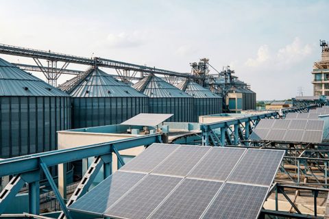 Sustainability - Barmalt