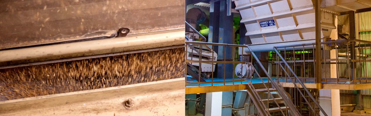 Malt Extract Process - Barmalt